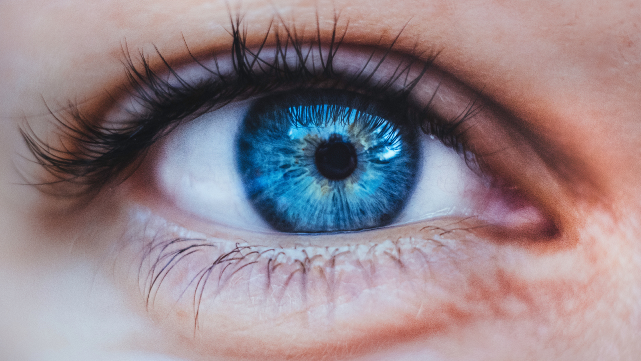 Clinical Utility of Amniotic Membranes | Corneal Physician